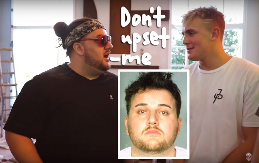 Jake Paul's Team 10 Member Arman Izadi Is A Convicted Pimp Who ...