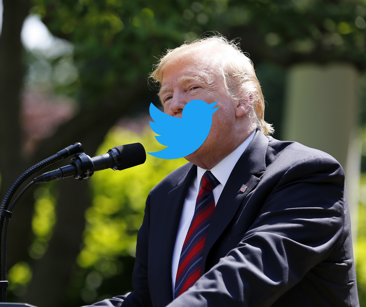 Trump BLASTED After Calling Impeachment 'A Lynching'! - Perez Hilton Trump BLASTED After Calling Impeachment 'A Lynching'! - Perez Hilton