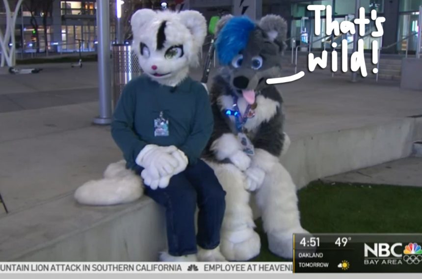 Pack Of Furries Rescue Domestic Violence Victim By Beating Up Her ...