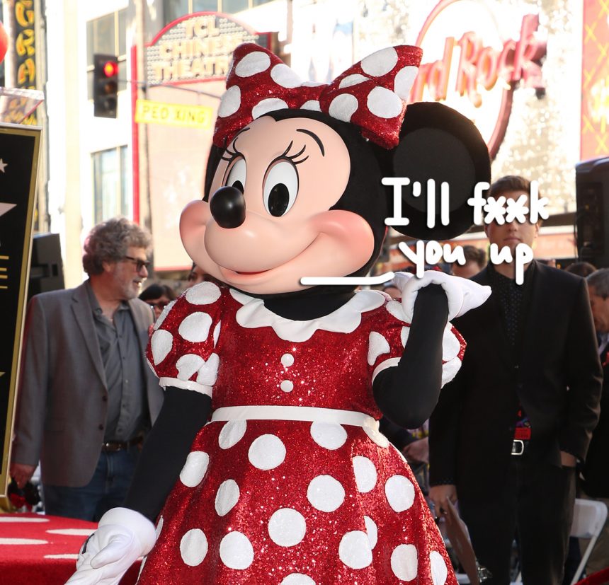 Minnie Mouse Throws Down In Crazy Viral Video — MUST WATCH!