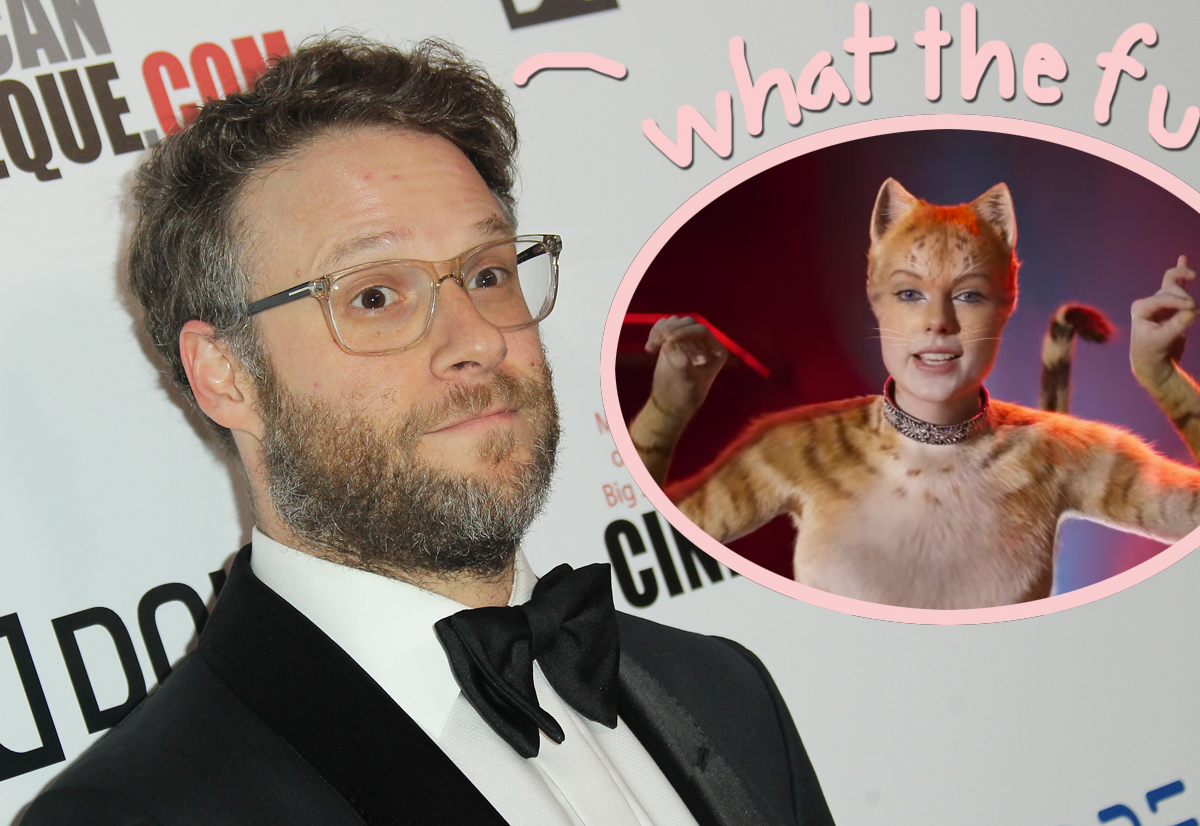 Seth Rogen Got High & Live-Tweeted The Movie Cats! MUST READ! - Perez ...