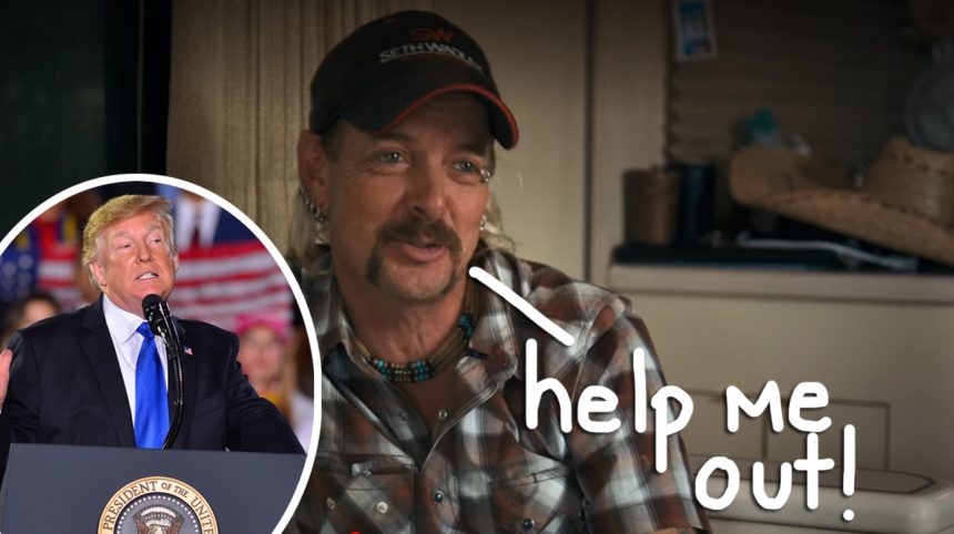 Joe Exotic Planning To Ask For A Presidential Pardon From Donald Trump ...