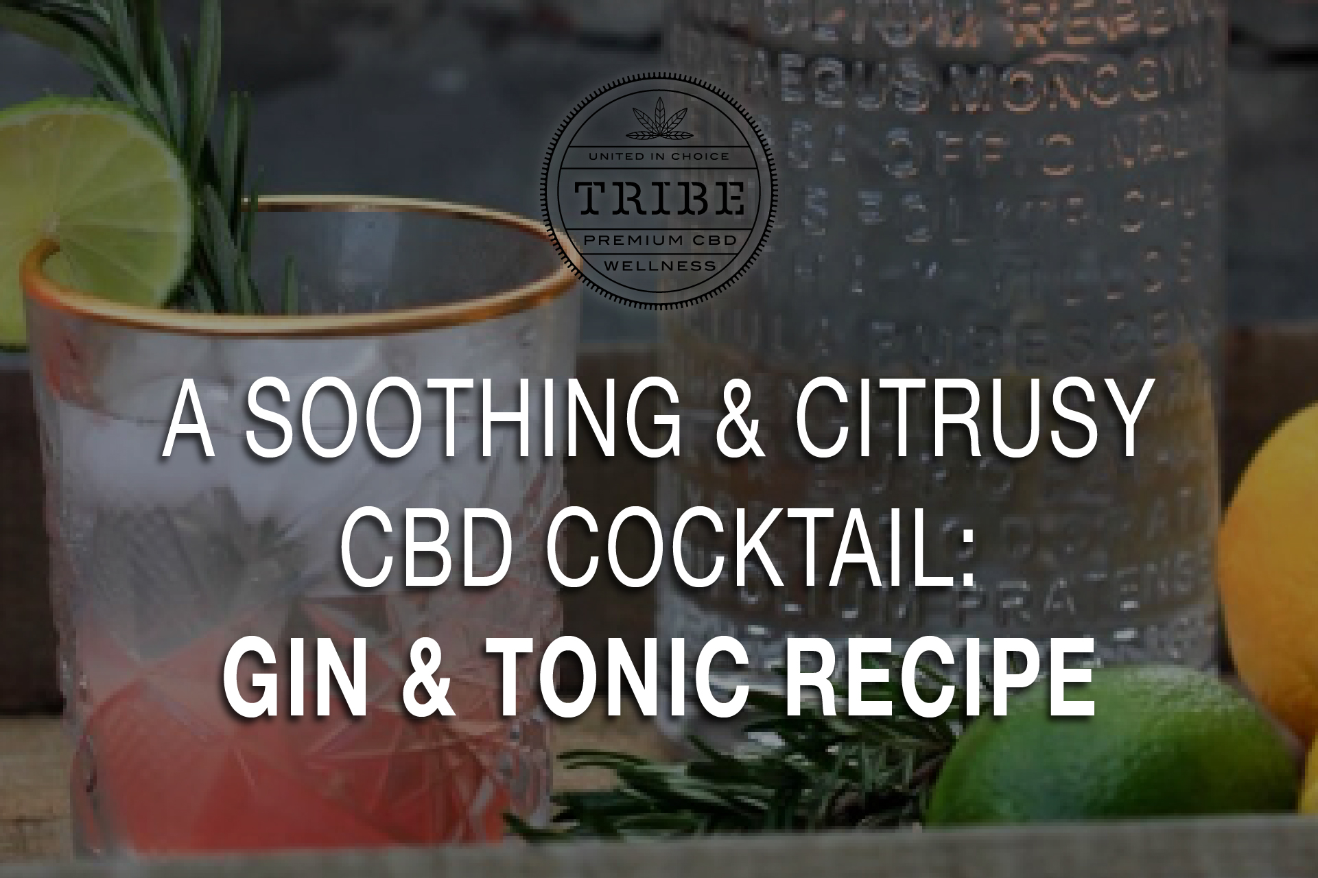 A Soothing & Citrusy CBD Cocktail: Gin & Tonic - Perez Hilton