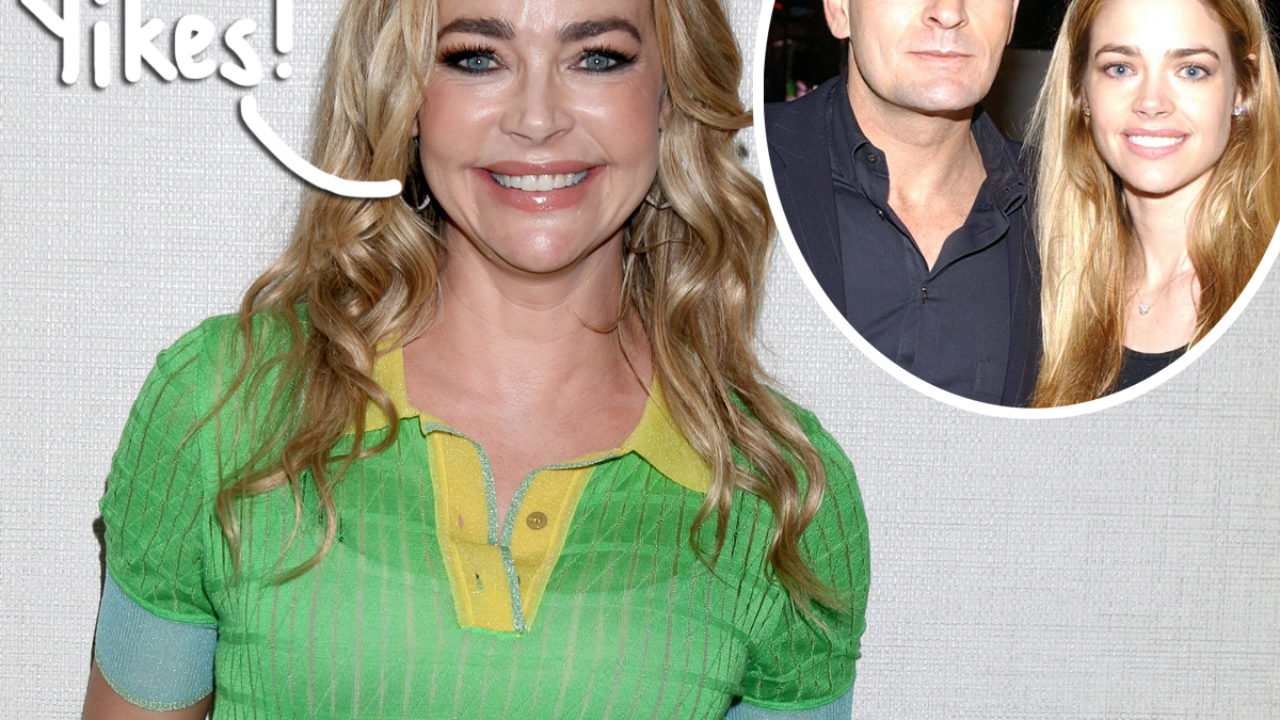 Denise Richards Charlie Sheen Divorce