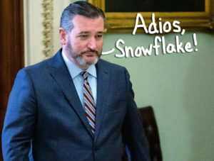Ted Cruz Left Family Dog In Freezing Texas Home As Leaked Texts Reveal ...