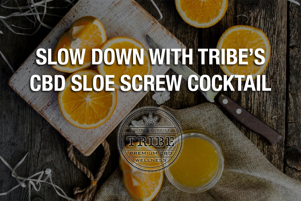 Slow Down With Tribe’s CBD Sloe Screw Cocktail - Perez Hilton