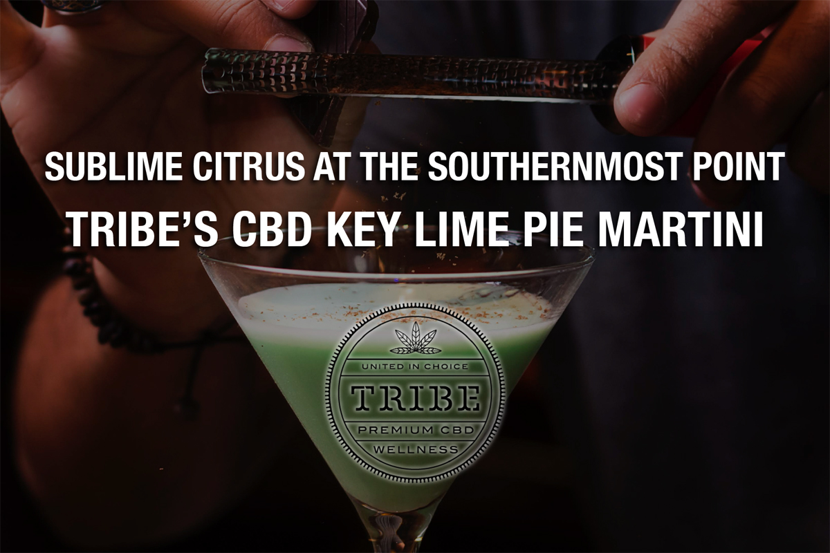 Sublime Citrus At The Southernmost Point — Tribe’s CBD Key Lime Pie ...