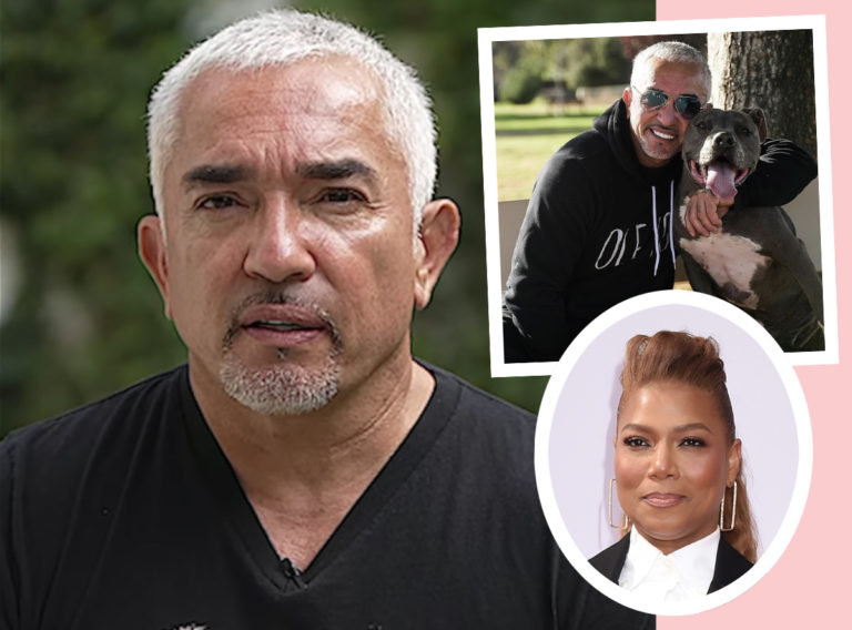 Cesar Millan Finally Responds To Lawsuit Claiming His Pit Bull Killed ...