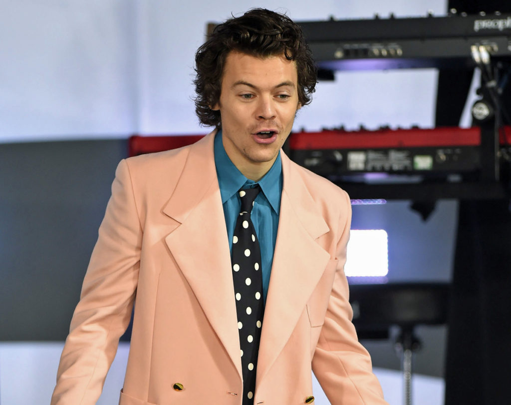 Harry Styles Deals With Stray Chicken Nuggets Thrown On Stage In The ...