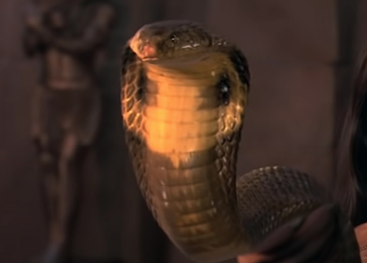 YouTuber Bit By Deadly Cobra Survives After Taking 65 BOTTLES Of Anti ...