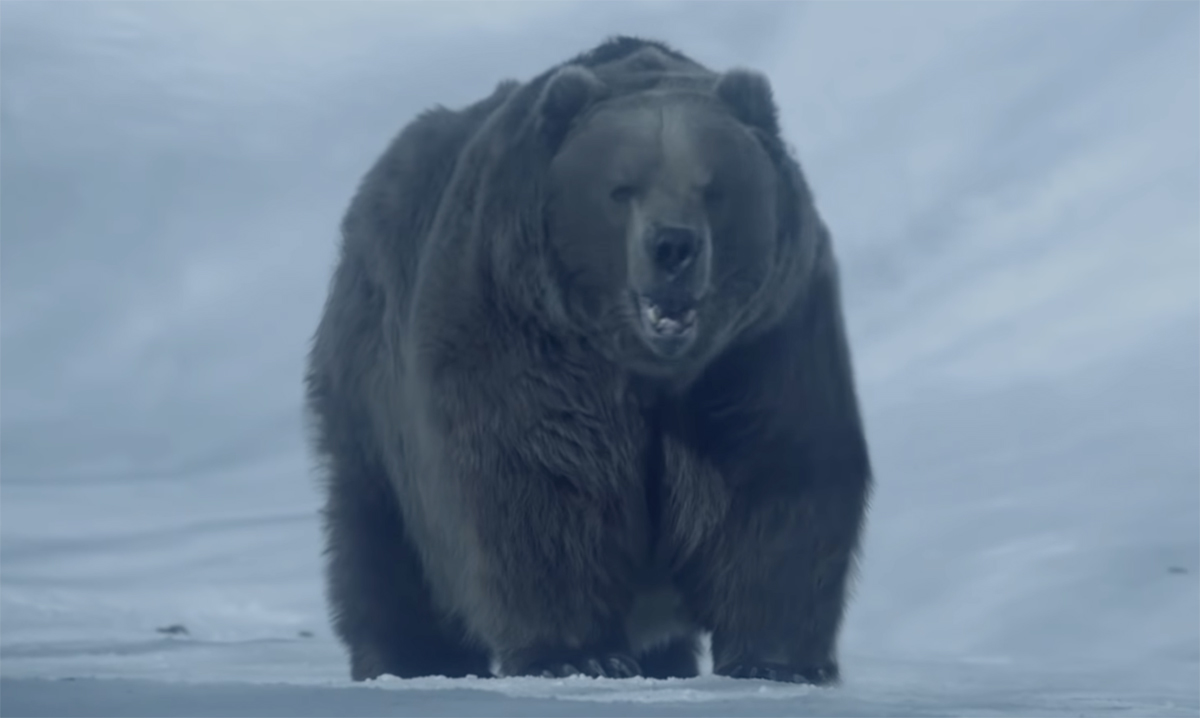 Mom Charged With Attempted Murder After Dropping 3-Year-Old Daughter ...