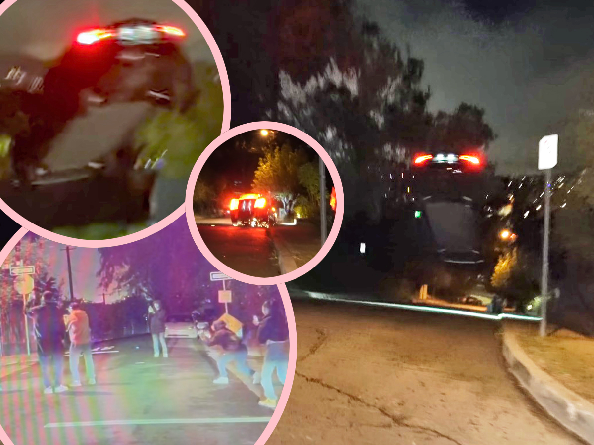 Police Hunt For Driver In SHOCKING Flying Tesla Viral Video! - Perez Hilton