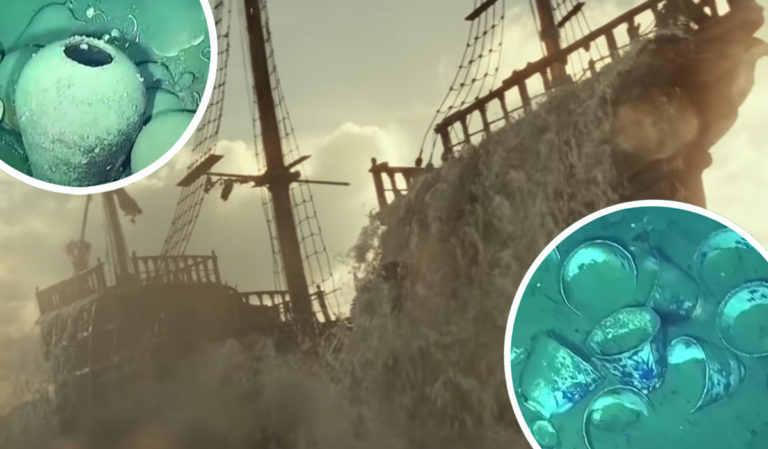 Sunken Treasure! Shipwrecks Found Near Colombia Could Be Worth BILLIONS ...