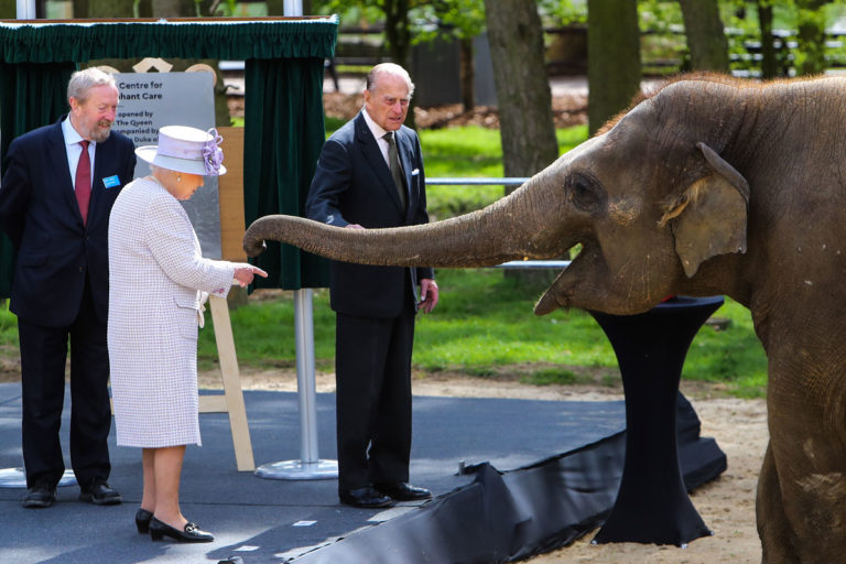 Photos Of Queen Elizabeth Through The Years - Perez Hilton