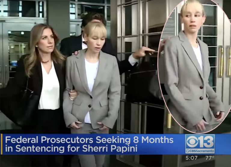 IRL Gone Girl Sherri Papini Asks Judge For Mercy, Says Kidnapping Hoax ...