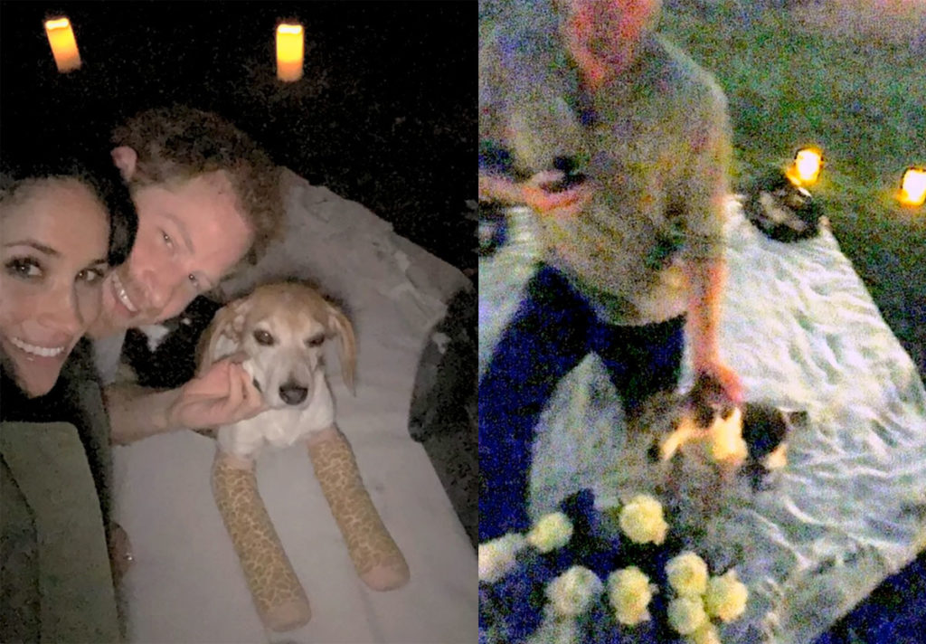 Prince Harry & Meghan Markle Met Through Instagram - First Date, Early ...