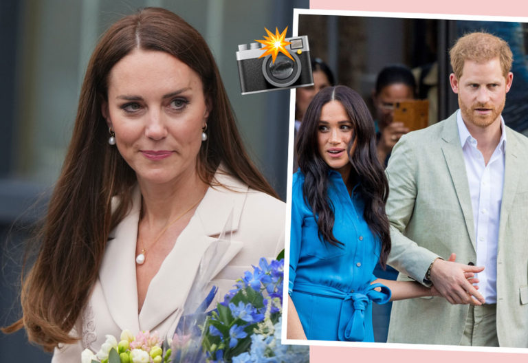 Princess Catherine Spotted For First Time Since Being Slammed In Prince ...