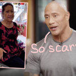 Dwayne "The Rock" Johnson Archives - Perez Hilton