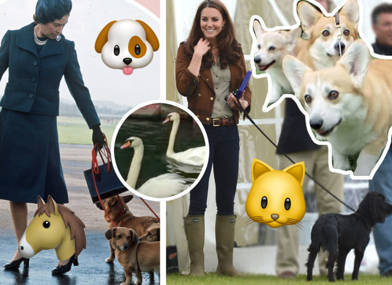 An Inside Look At The Lavish Lives Of Royal Pets! - Perez Hilton