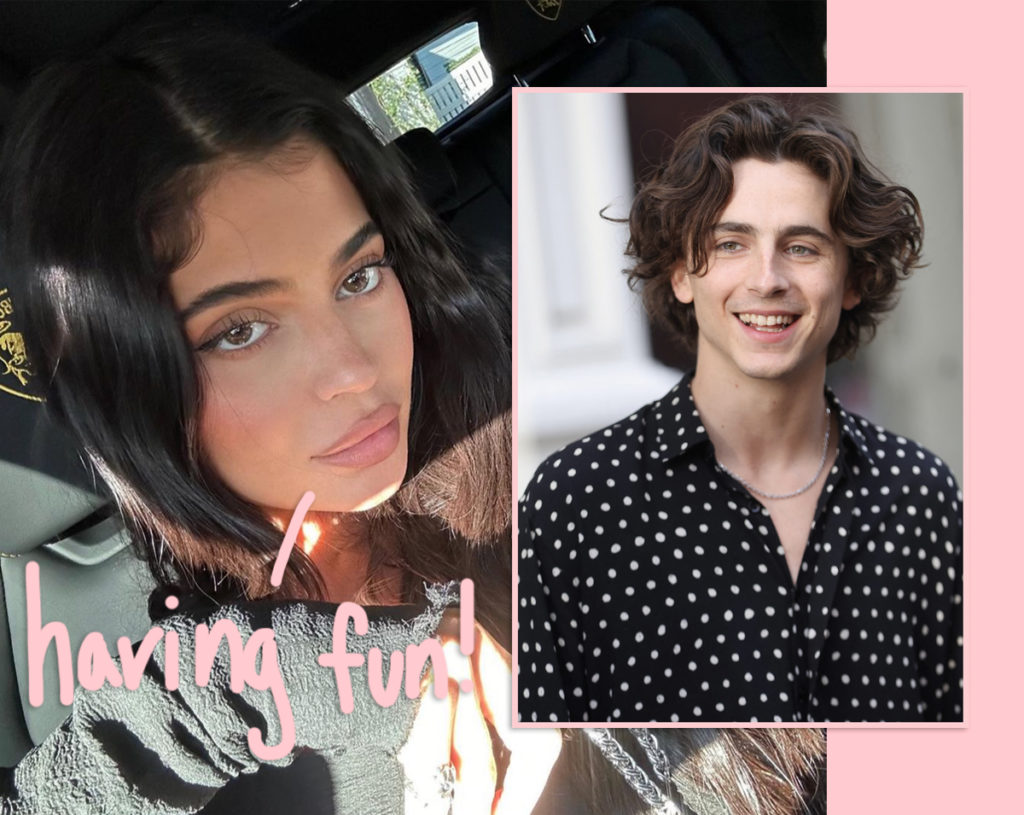 Kylie Jenner 'Enjoys Being Courted’ By Timothée Chalamet - They ‘Hang ...