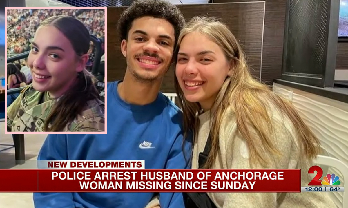 Soldier Led Search For His Missing Wife - Now He's Been Arrested After ...