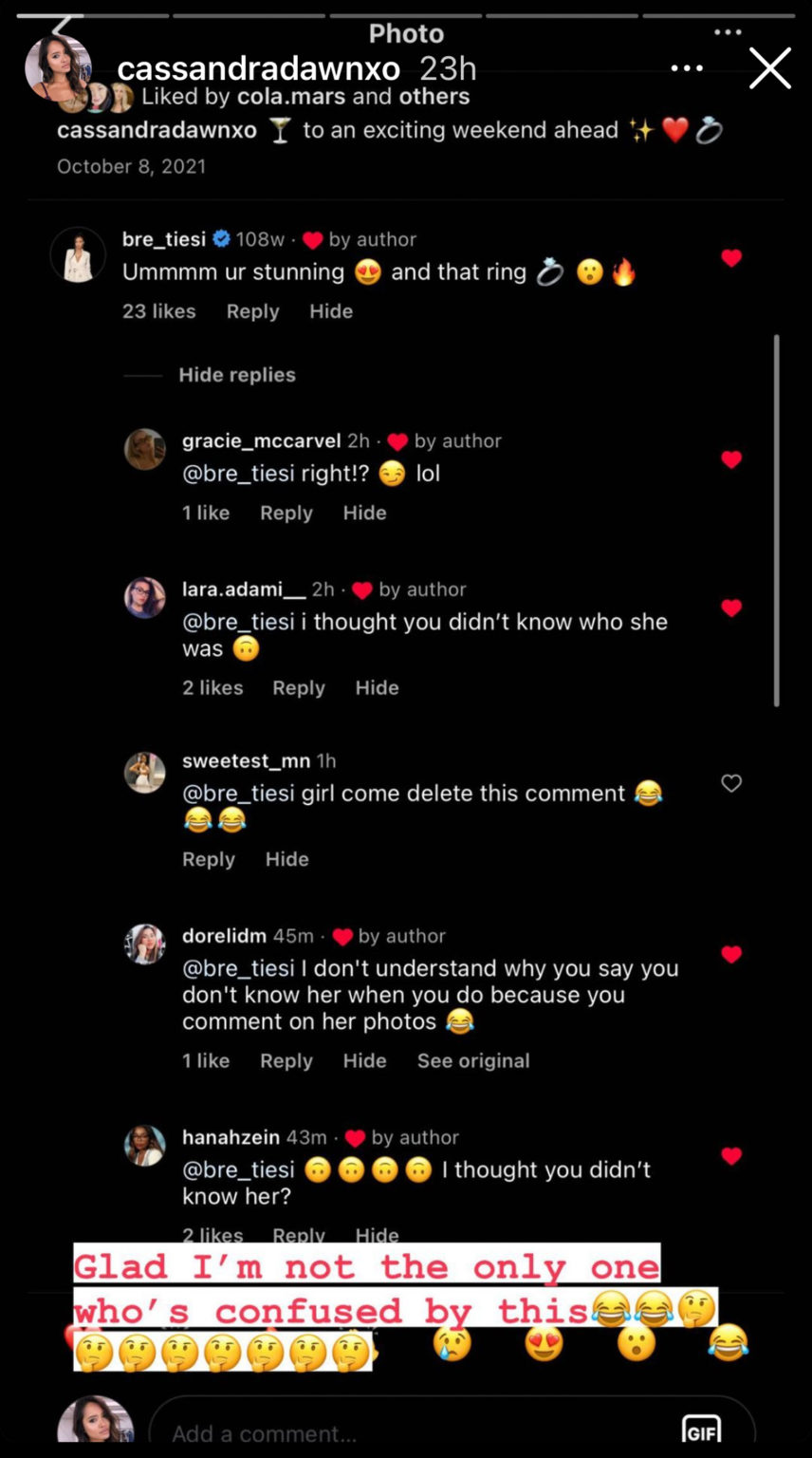 Cassandra Dawn Shares Proof Bre Tiesi Knew Her Before Filming Selling Sunset! - Perez Hilton