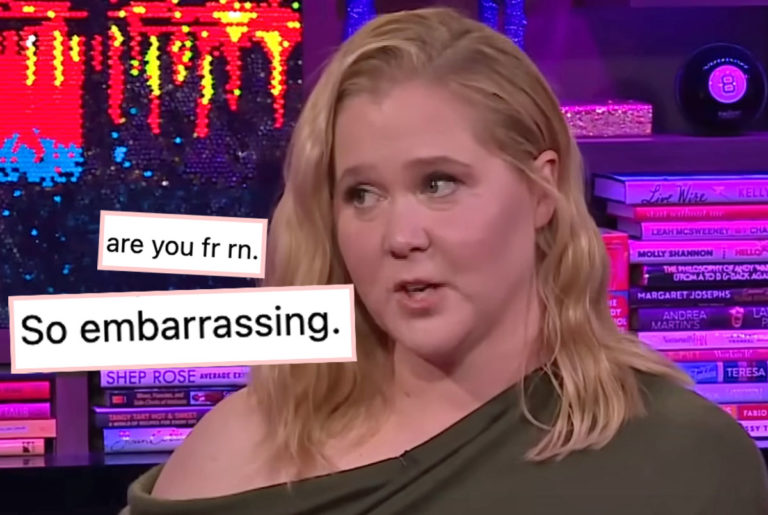 Amy Schumer ROASTED For Saying She's The 'Most Successful Female ...