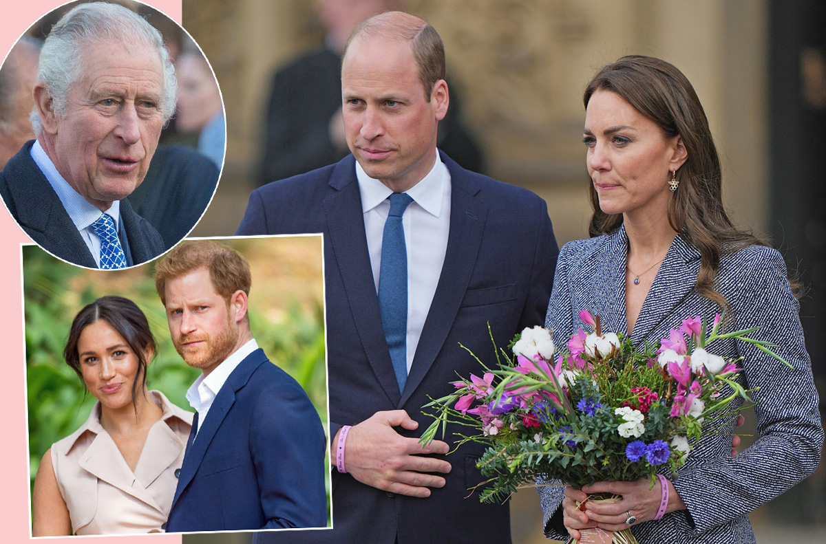 Prince William & King Charles In Full-On Crisis Mode After 'Royal ...