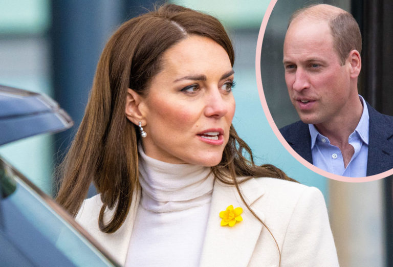 Wait, Was That A Princess Catherine LOOKALIKE In First Public Sighting ...
