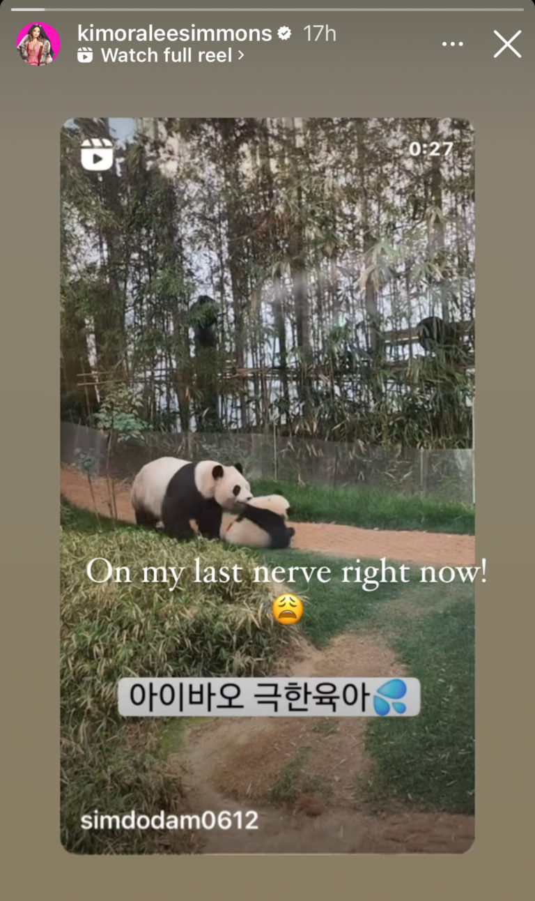 Kimora Lee Simmons Appears To React To Her 21-Year-Old Daughter Aoki ...