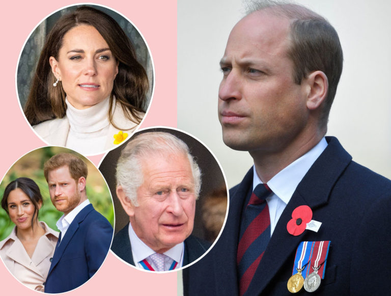 Prince William Struggling With Weight Of 'Immense Responsibility' Amid ...