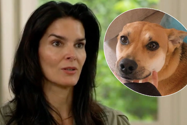 Angie Harmon Is SUING Instacart & The Shopper Who Shot Her Dog! - Perez ...