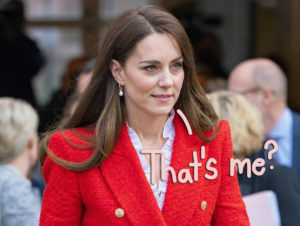 'Is This A Joke?': 'Horrible' New Princess Catherine Portrait Sparks ...