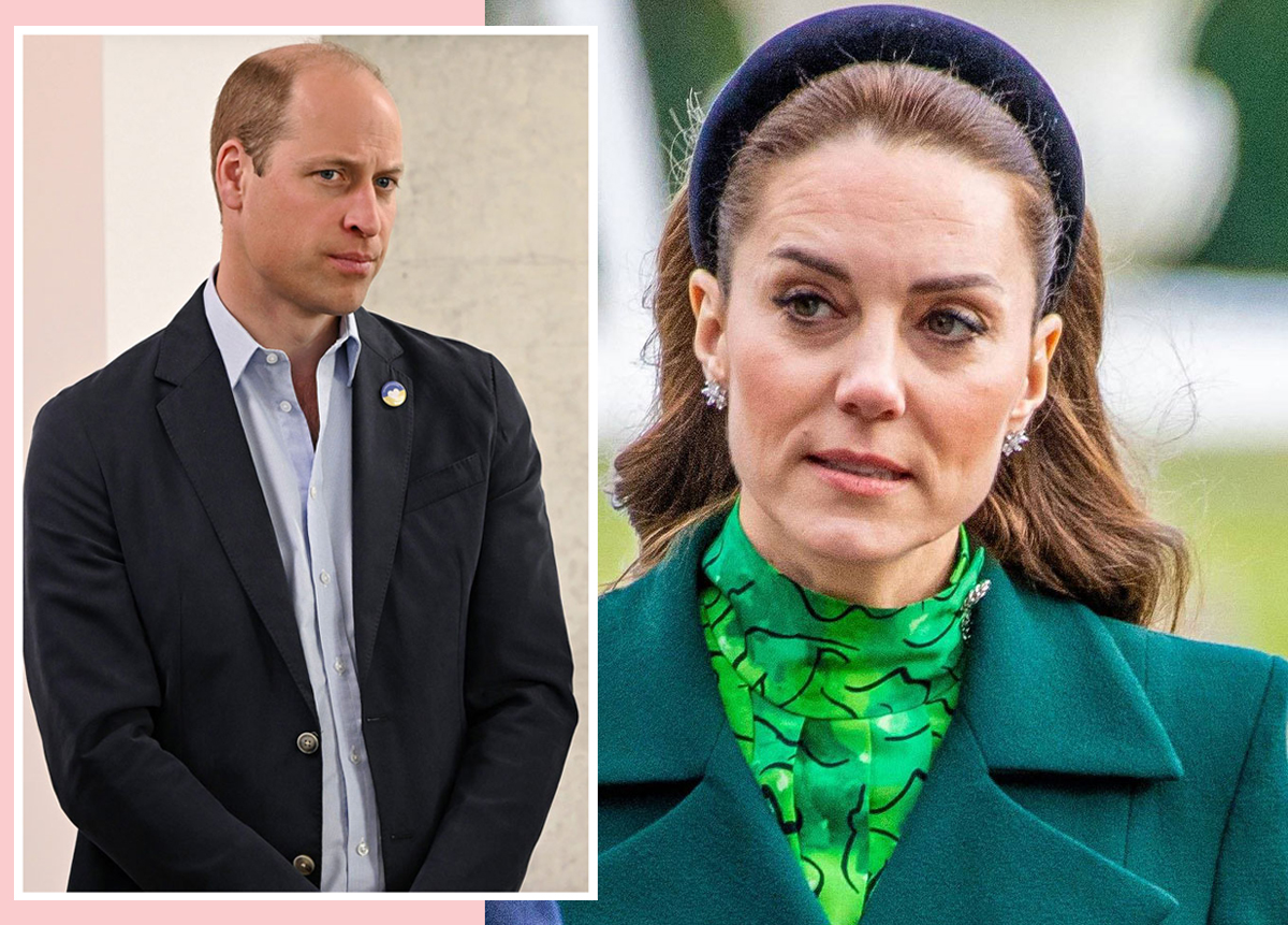 Princess Catherine Holds First Official Work Meeting In Nearly A Year ...