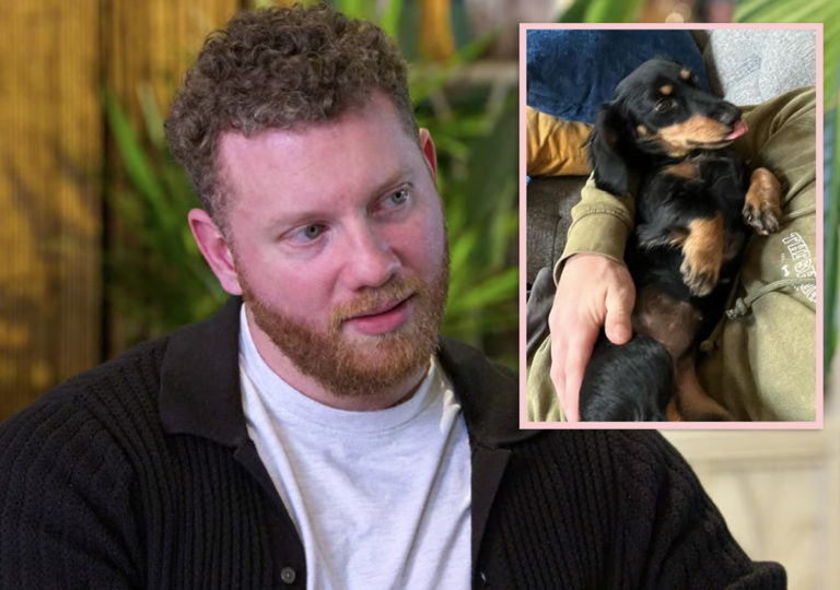 Love Is Blind Star Stephen Goes NUCLEAR On Fan For Suggesting He Has ...