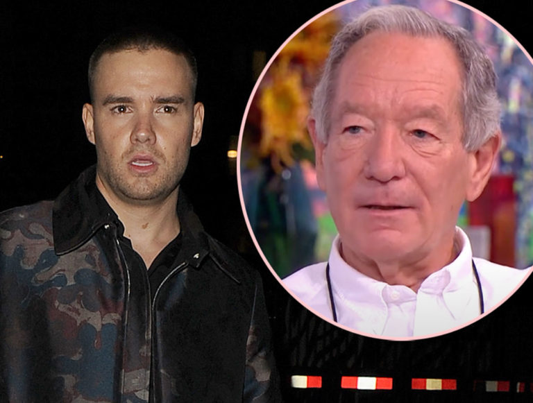 BBC Journalist Calls Liam Payne A 'Drugged-Up Faded Boyband Singer ...