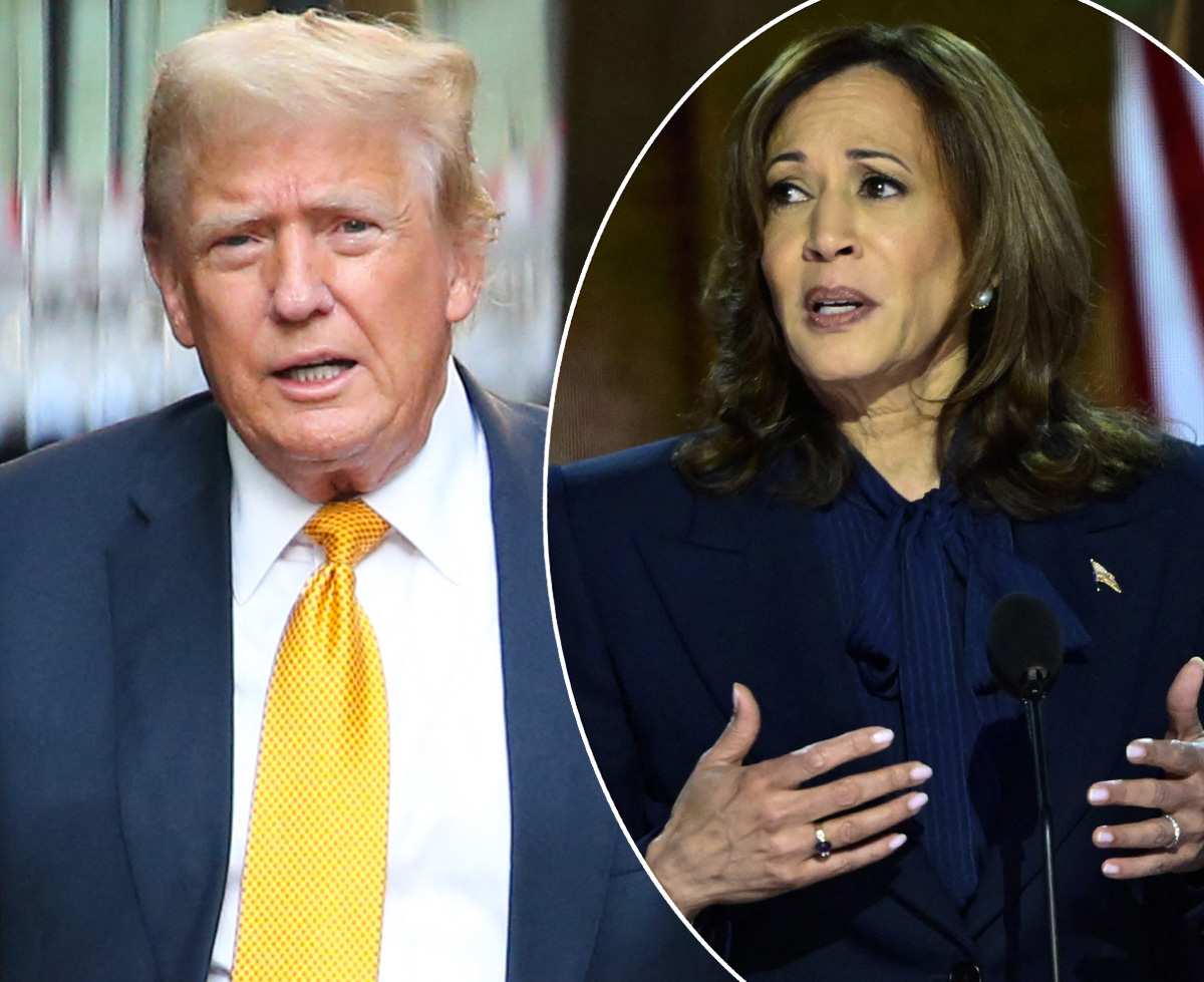Donald Trump Reportedly Called Kamala Harris WHAT?! - Perez Hilton