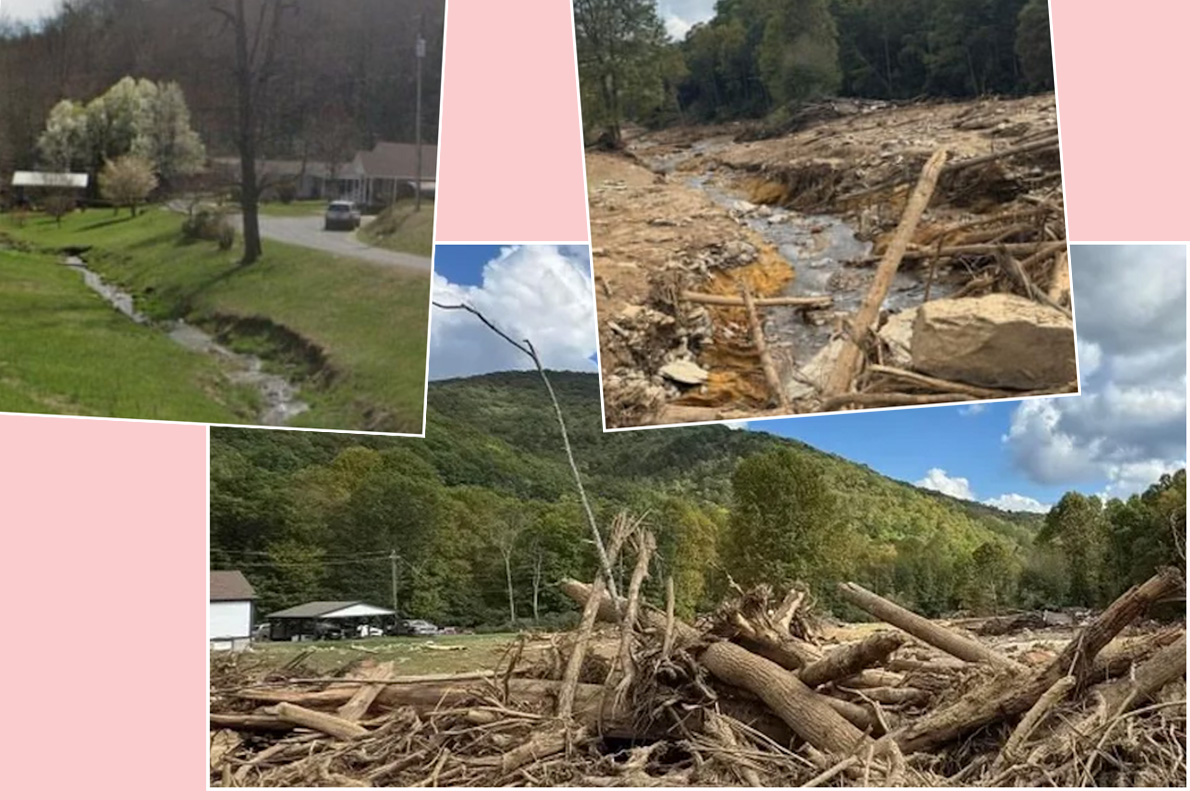 11 Members Of Same Family Die In 'Devastating' Hurricane Helene ...