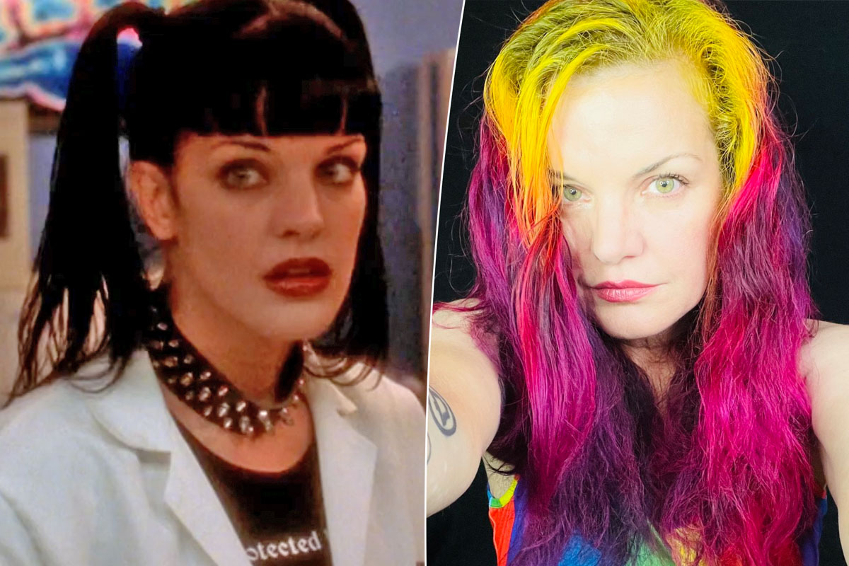 Ncis Pauley Perrette