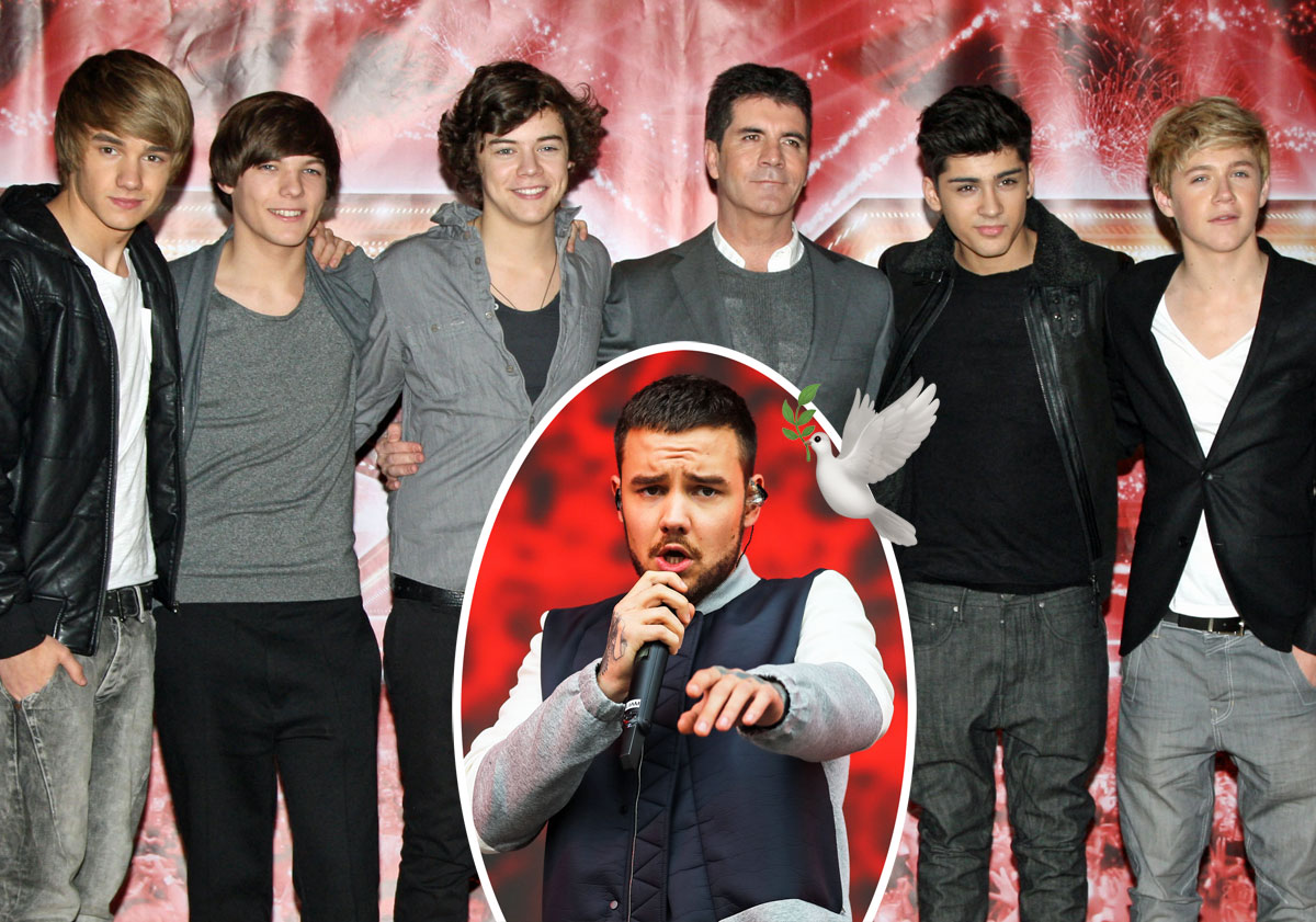 Simon Cowell Postpones Britain’s Got Talent Auditions After Liam Payne ...