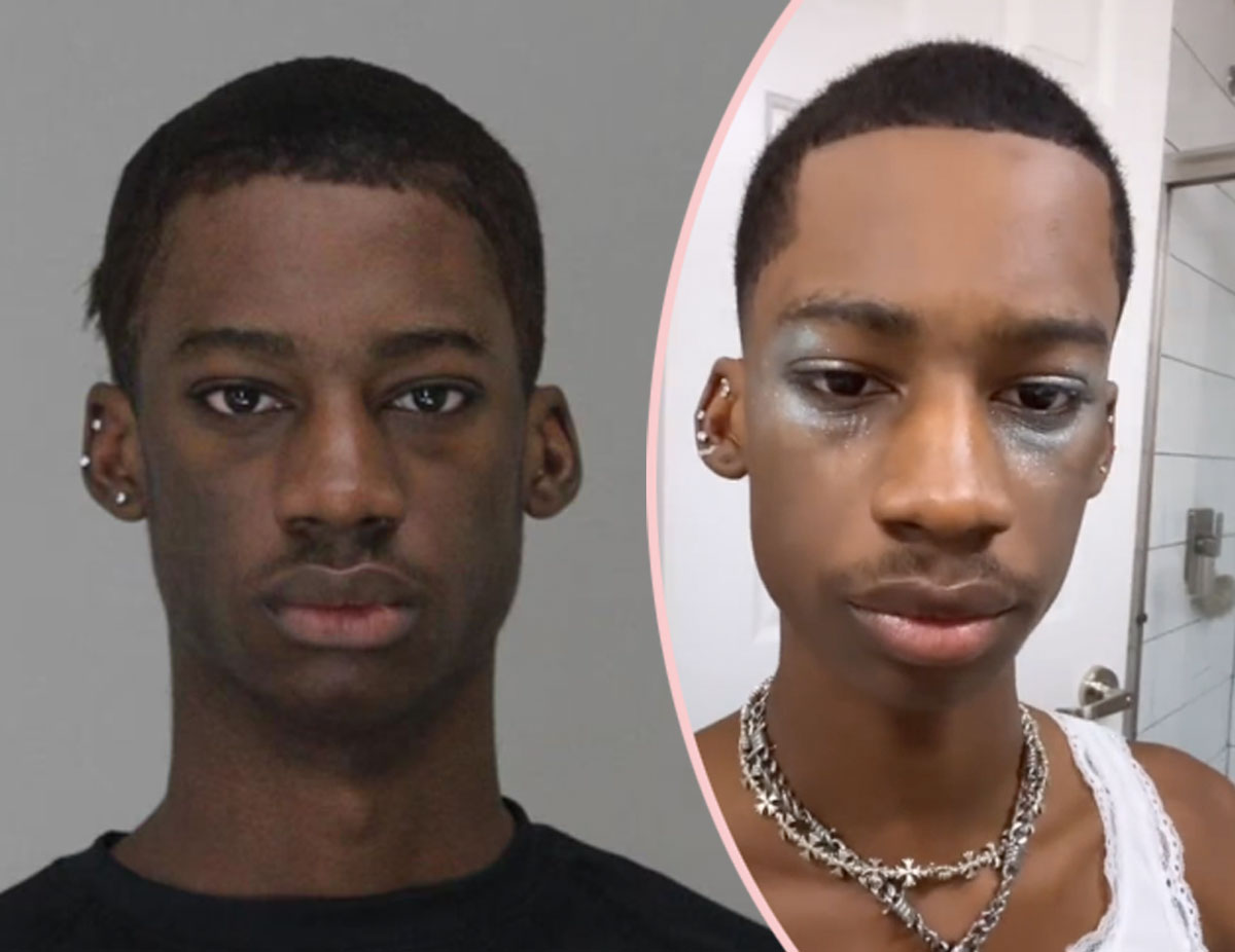 20-Year-Old TikTok Star Arrested In Case Of Slain Therapist Wrapped In ...