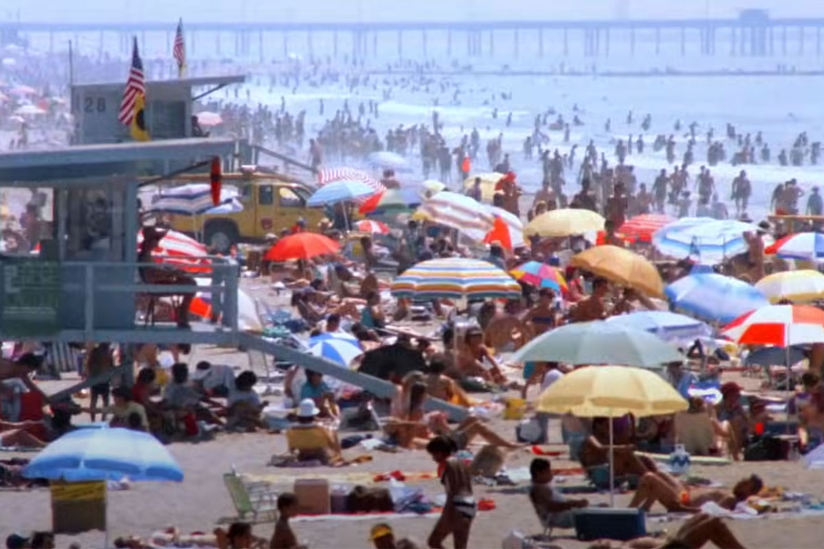 Severed Human Head Found On Tourist Beach In Florida! WTF! - Perez Hilton