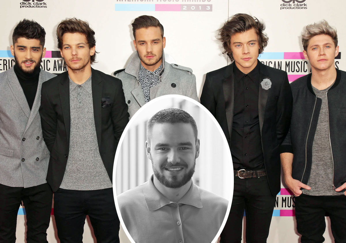 Harry Styles, Louis Tomlinson, Niall Horan, & Zayn Malik Come Together ...