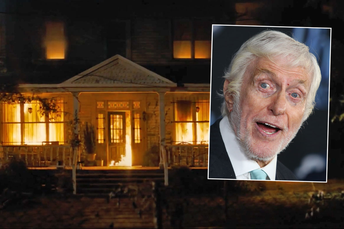 Dick Van Dyke Needed To Be Saved By Neighbors After Almost Passing Out During Harrowing Escape ...