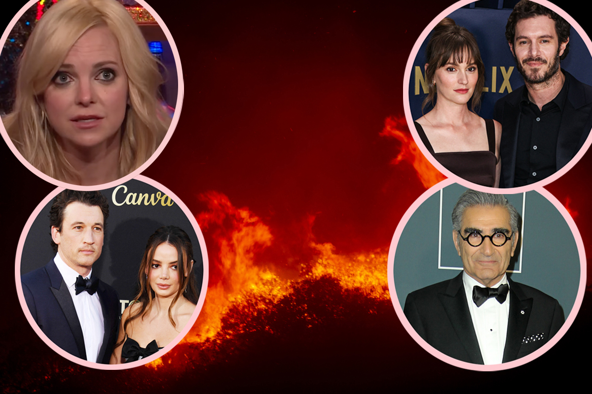Adam Brody, Anna Faris, Eugene Levy, & More Stars Whose Homes Were Destroyed In The Devastating ...
