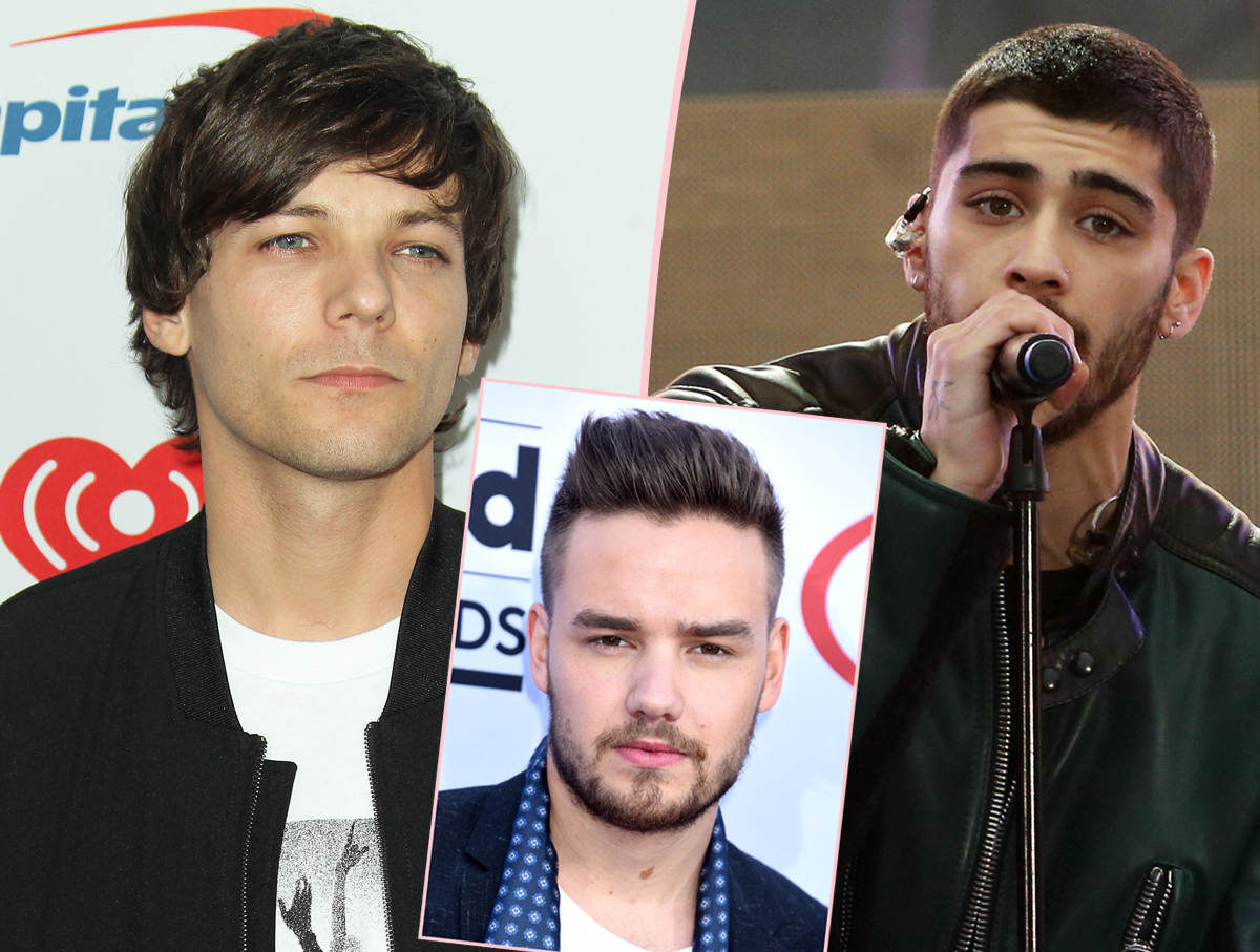 Louis Tomlinson Supports One Direction Brother Zayn Malik At LA Concert ...