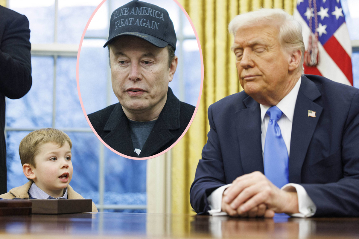 What Elon Musk's 4-Year-Old Son Was Heard Saying To Donald Trump Is ...