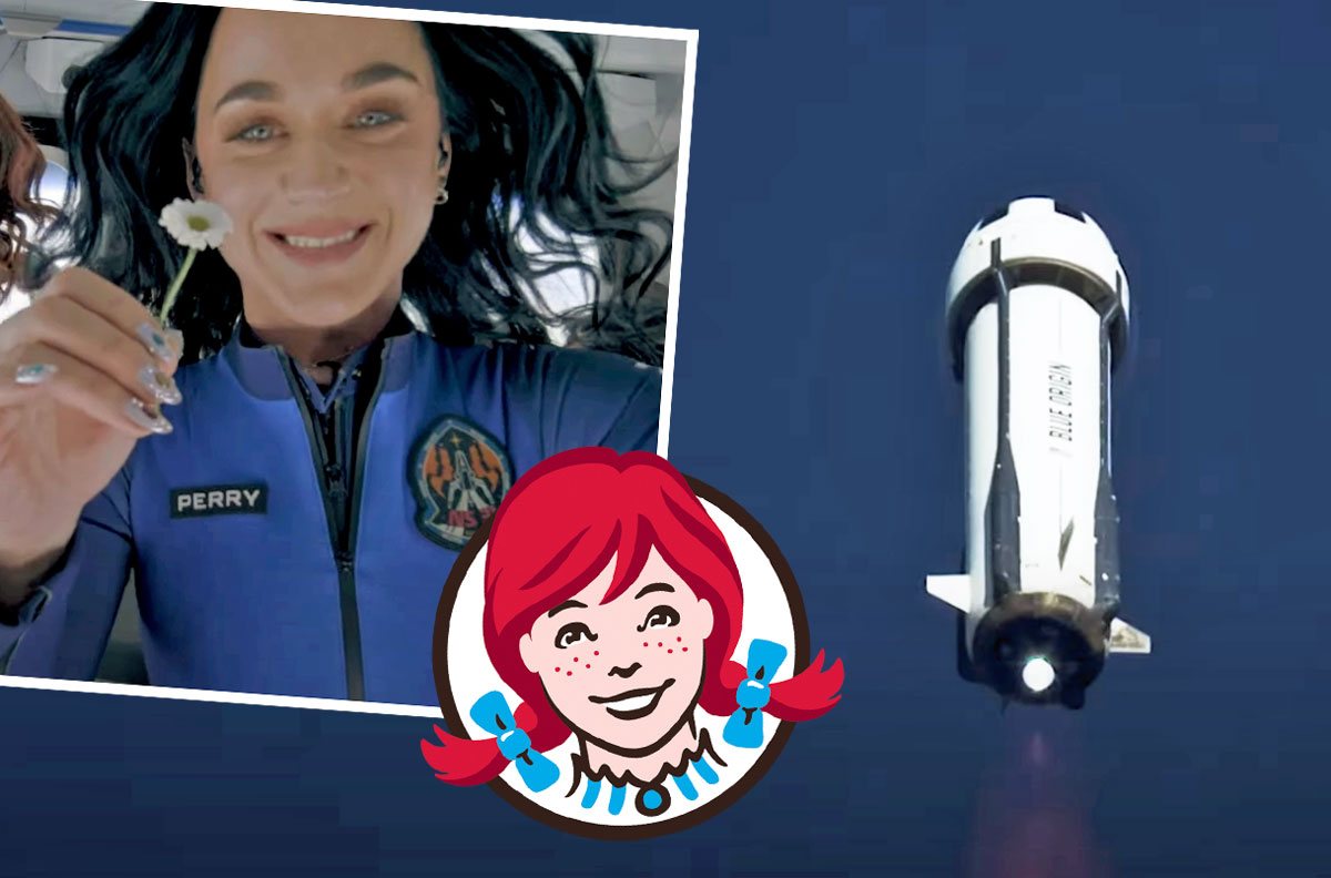 Wendy's Is Clearly Not Sorry About That HARSH Katy Perry Diss Following ...