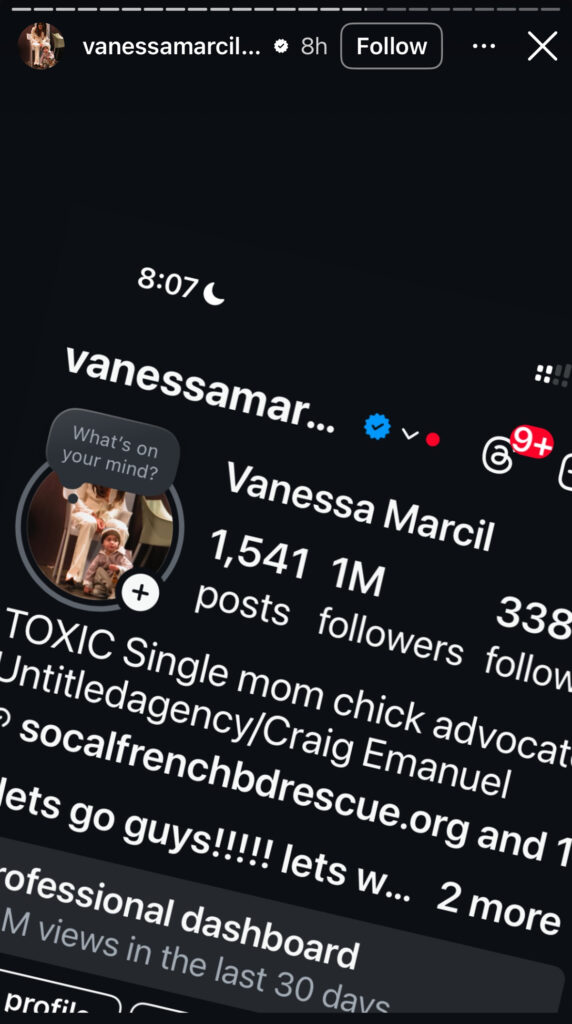 Vanessa Marcil Changes Her IG Bio To Shade Ex Brian Austin Green ...