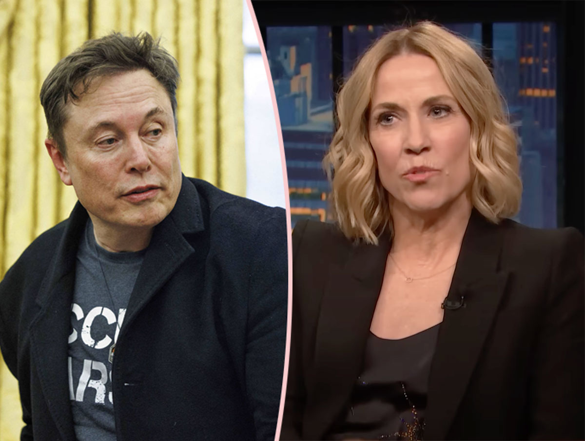 Sheryl Crow Protested Elon Musk... And An Armed Man Showed Up On Her ...